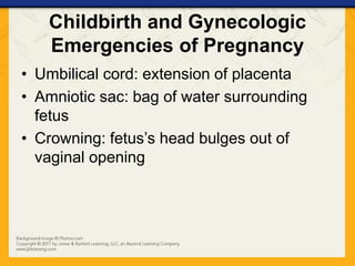 Ch22 presentation childbirth_and_gynecologic | PPTX