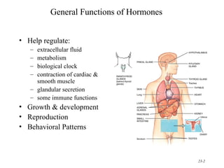 THE HUMAN CONTROL SYSTEM (HUMAN ANATOMY) | PPT
