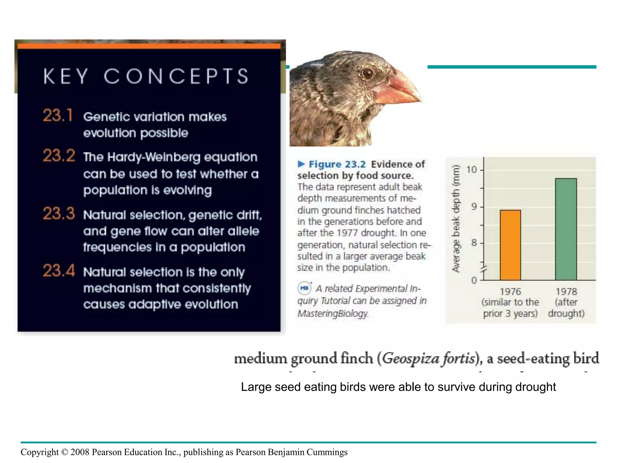 Ch 23_Evolution of Population.ppt