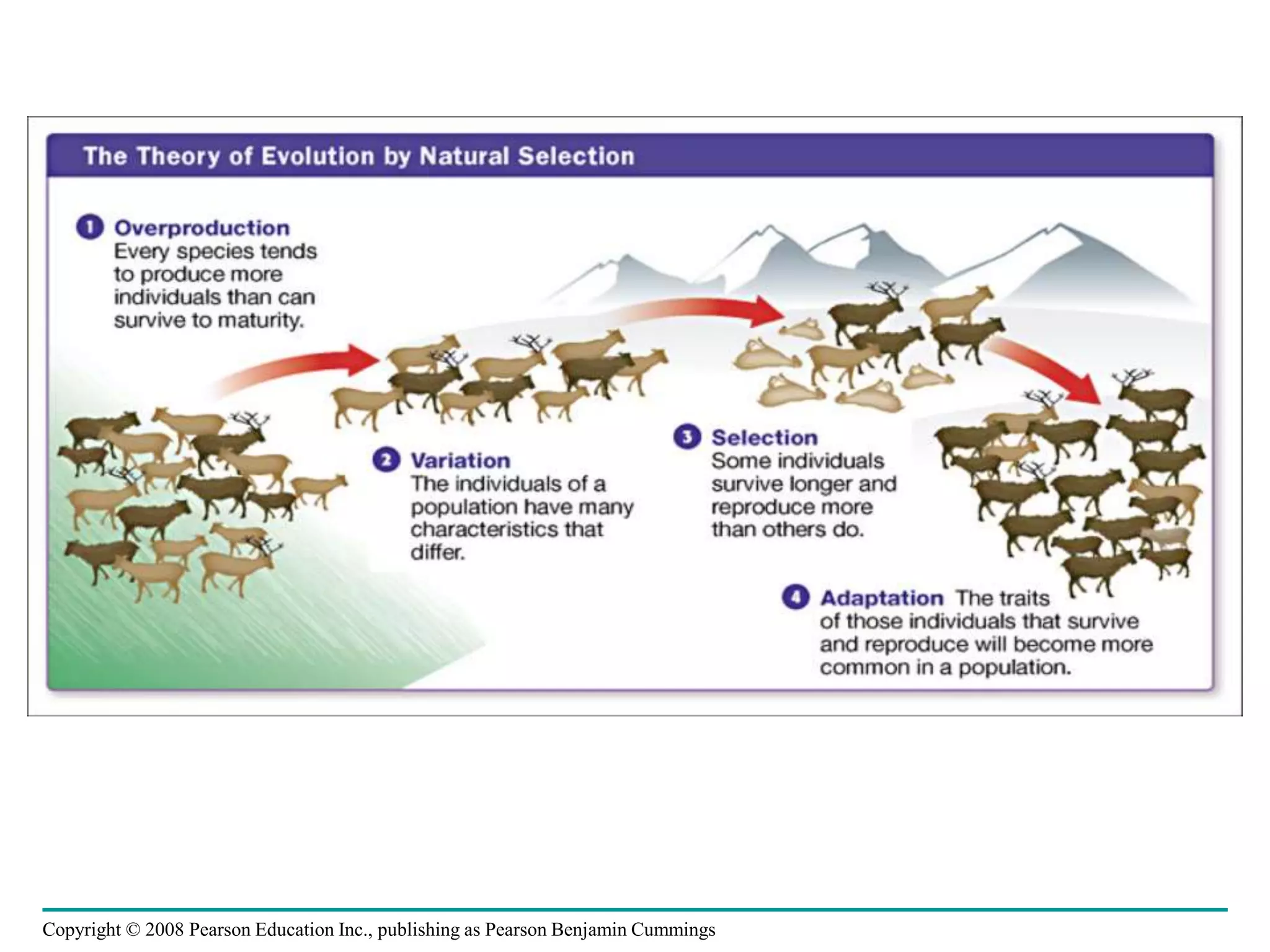 Ch 23_Evolution of Population.ppt