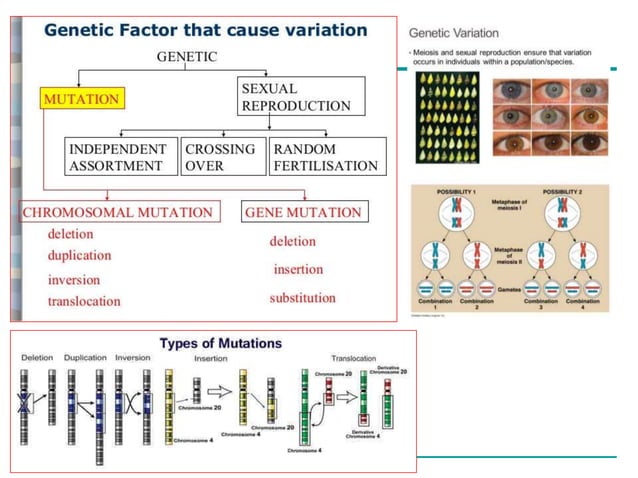 Ch 23_Evolution of Population.ppt