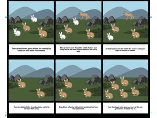 Ch 23_Evolution of Population.ppt