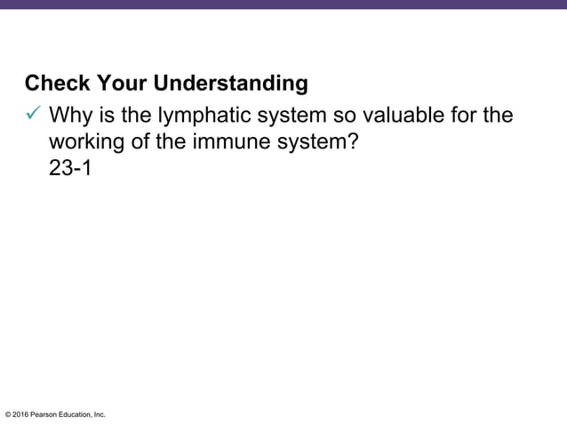 Ch 23_lecture_presentation | PPTX