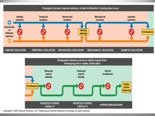 Speciation prezygotic and postzygotic | PPT