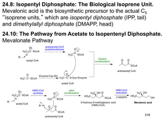 Fatty Acid metabolism_oxidation, catabolism.ppt