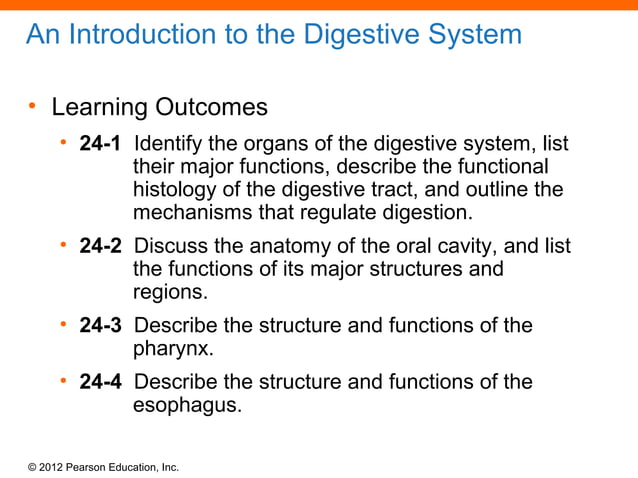 169 Ch 24_lecture_presentation | PPT
