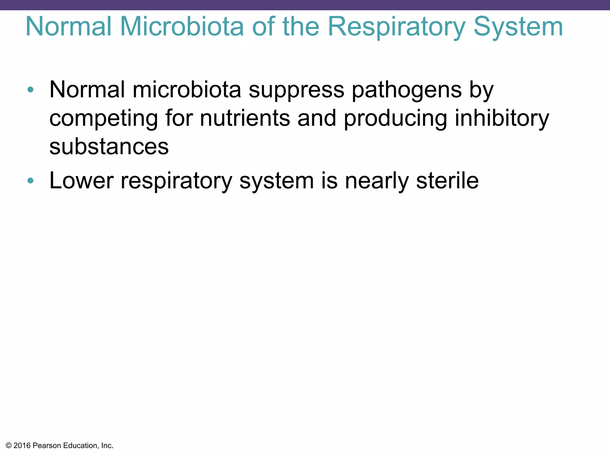 Ch 24_lecture_presentation | PPTX