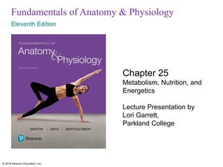Comprehensive Overview of Metabolism, Nutrition, and Energetics in ...