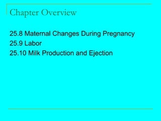 Chapter 25 The Reproductive System and Development | PPT