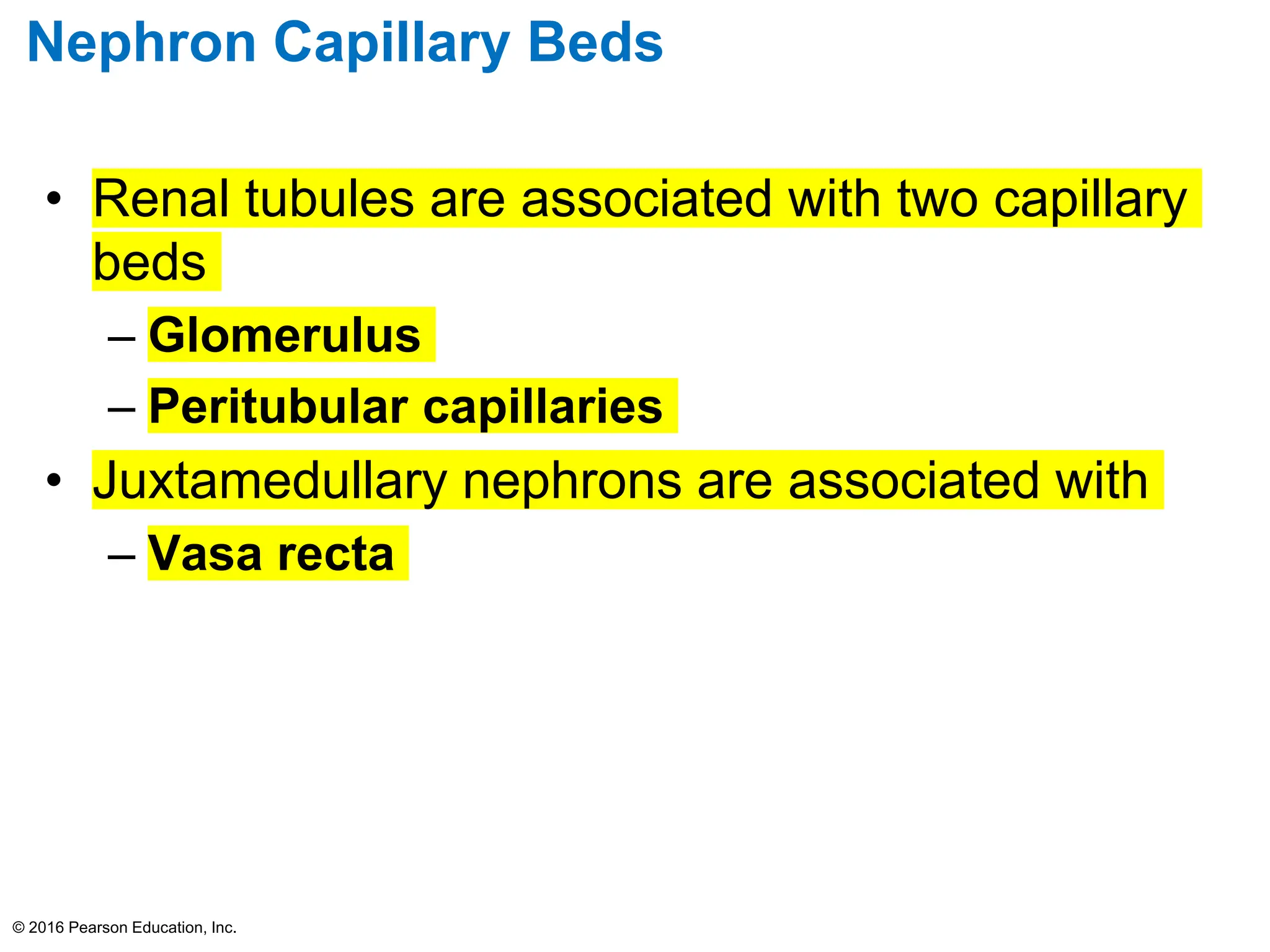 Pearson Human Anatomy & Physiology The Urinary System | PPTX
