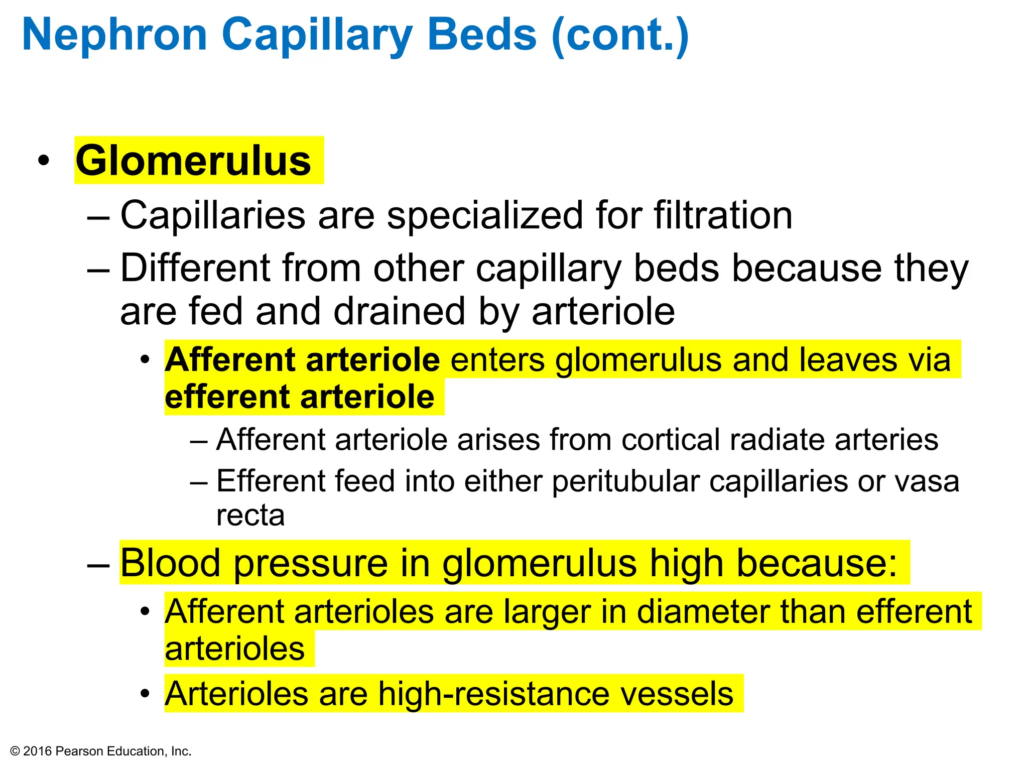 Pearson Human Anatomy & Physiology The Urinary System | PPTX