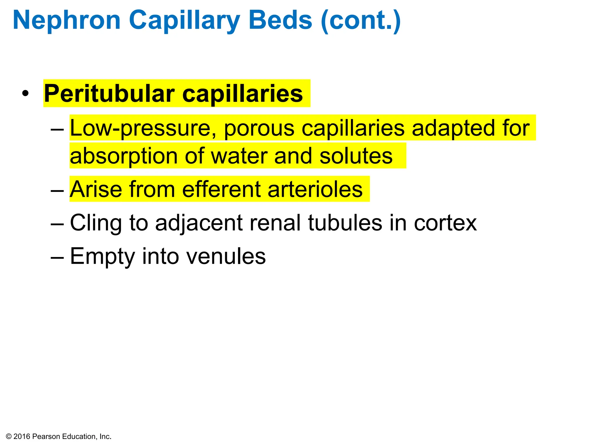 Pearson Human Anatomy & Physiology The Urinary System | PPTX