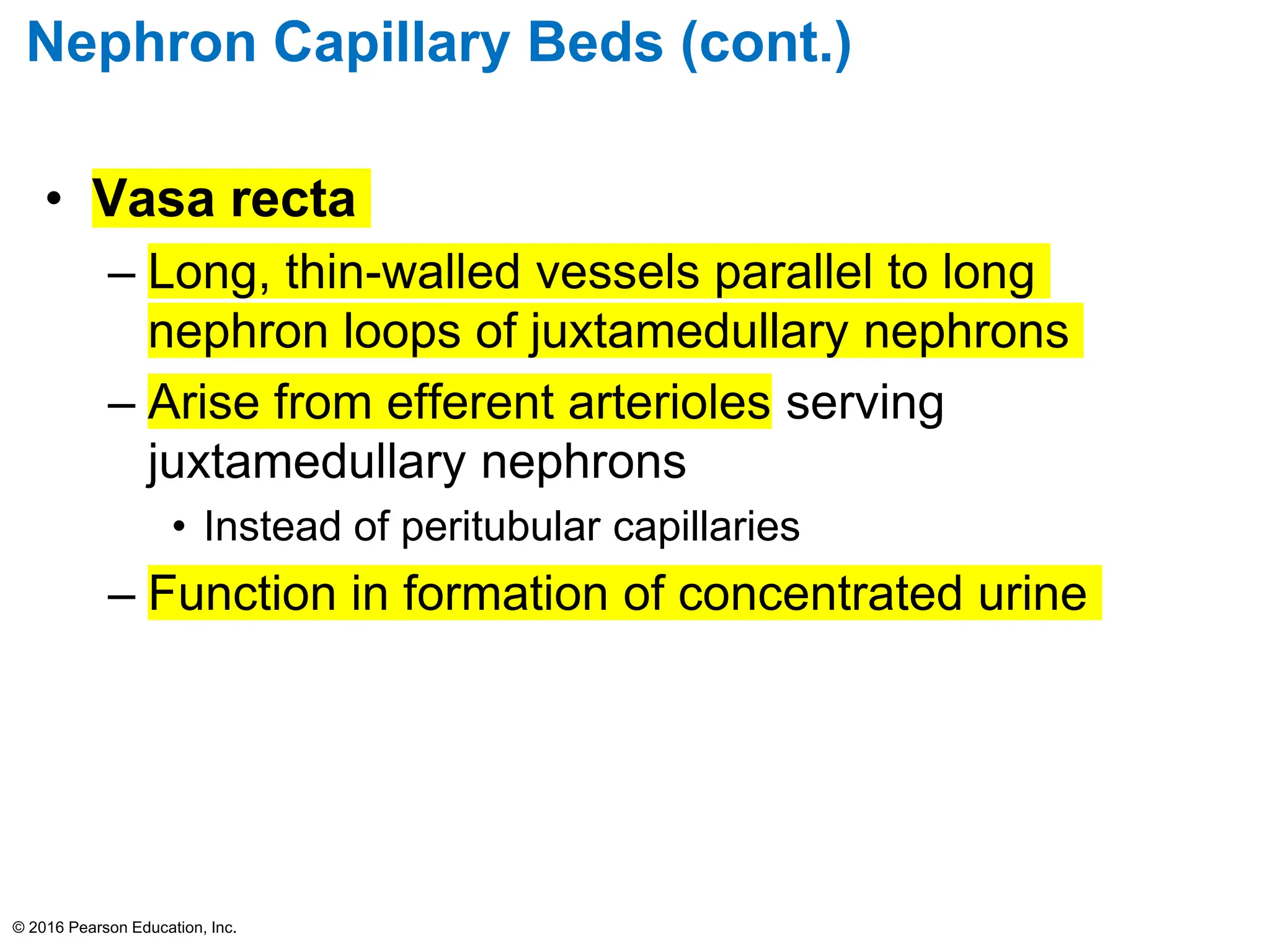 Pearson Human Anatomy & Physiology The Urinary System | PPTX