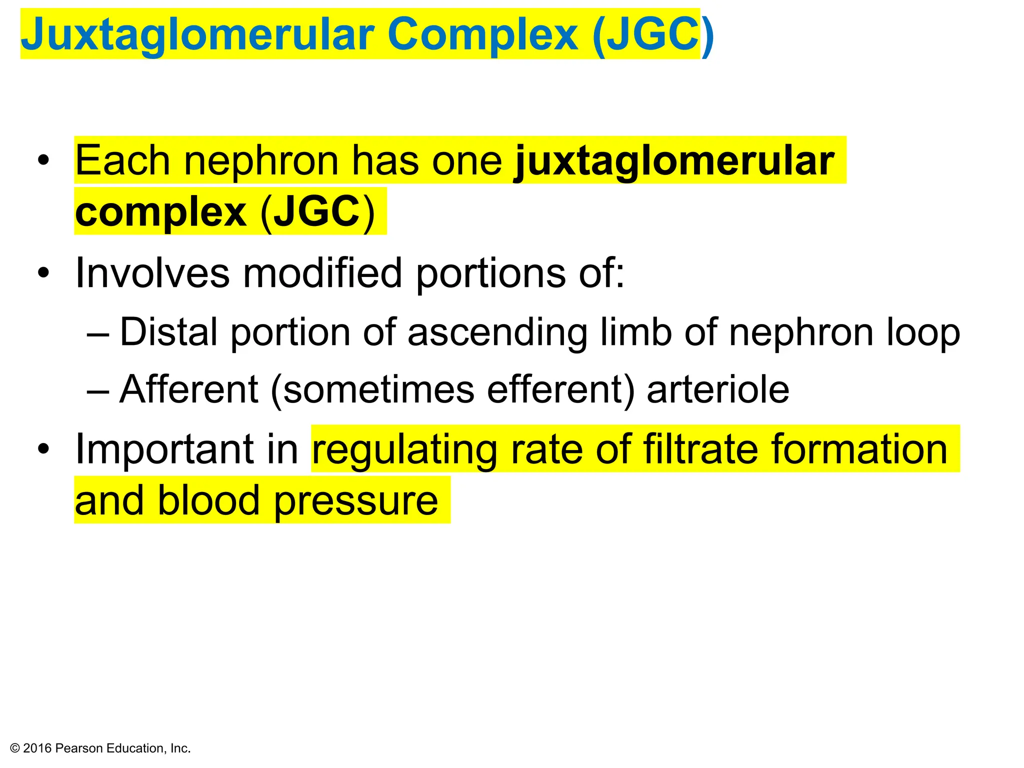 Pearson Human Anatomy & Physiology The Urinary System | PPTX