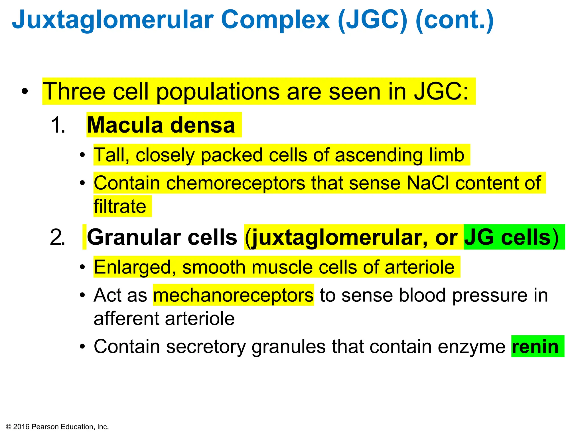 Pearson Human Anatomy & Physiology The Urinary System | PPTX
