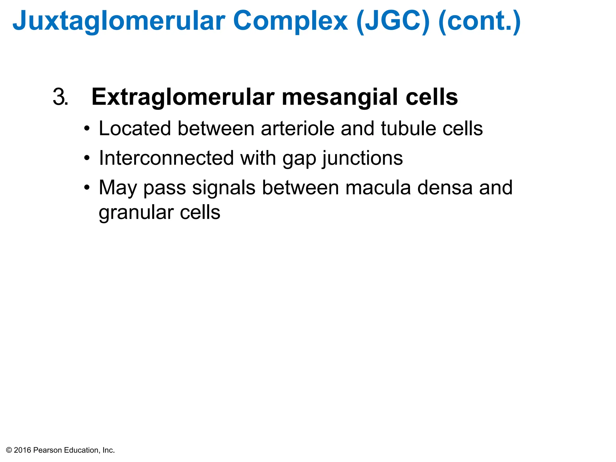 Pearson Human Anatomy & Physiology The Urinary System | PPTX
