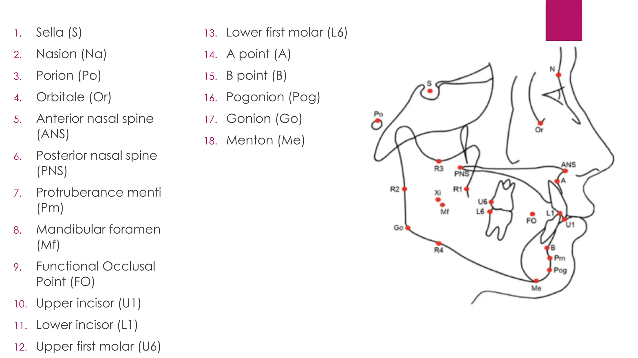 Correction of Dentofacial Deformities by Mari-Alina Timoshchuk.pptx