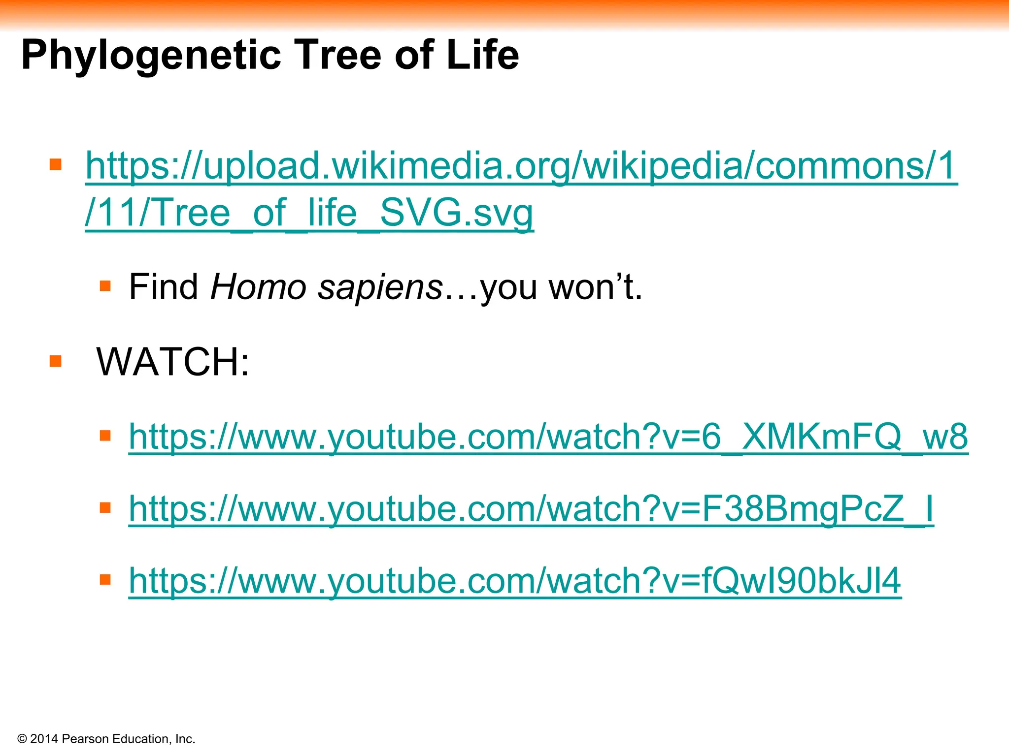 ch_26_-_phylogeny_and_the_tree_of_life.pptx