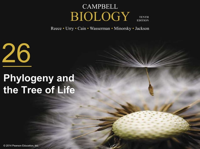 ch_26_-_phylogeny_and_the_tree_of_life.pptx
