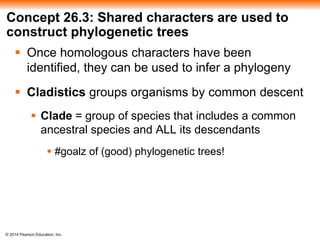 ch_26_-_phylogeny_and_the_tree_of_life.pptx