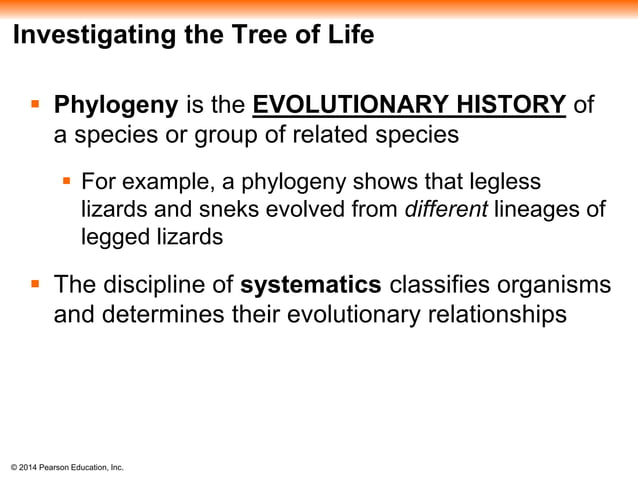 ch_26_-_phylogeny_and_the_tree_of_life.pptx