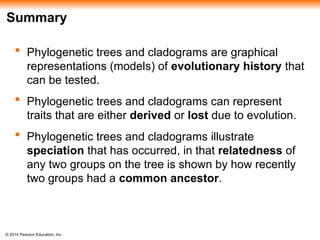 ch_26_-_phylogeny_and_the_tree_of_life.pptx