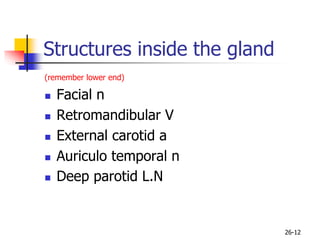 anatomy and embriology of Digestive System. ppt | PPT