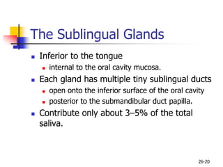 anatomy and embriology of Digestive System. ppt | PPT