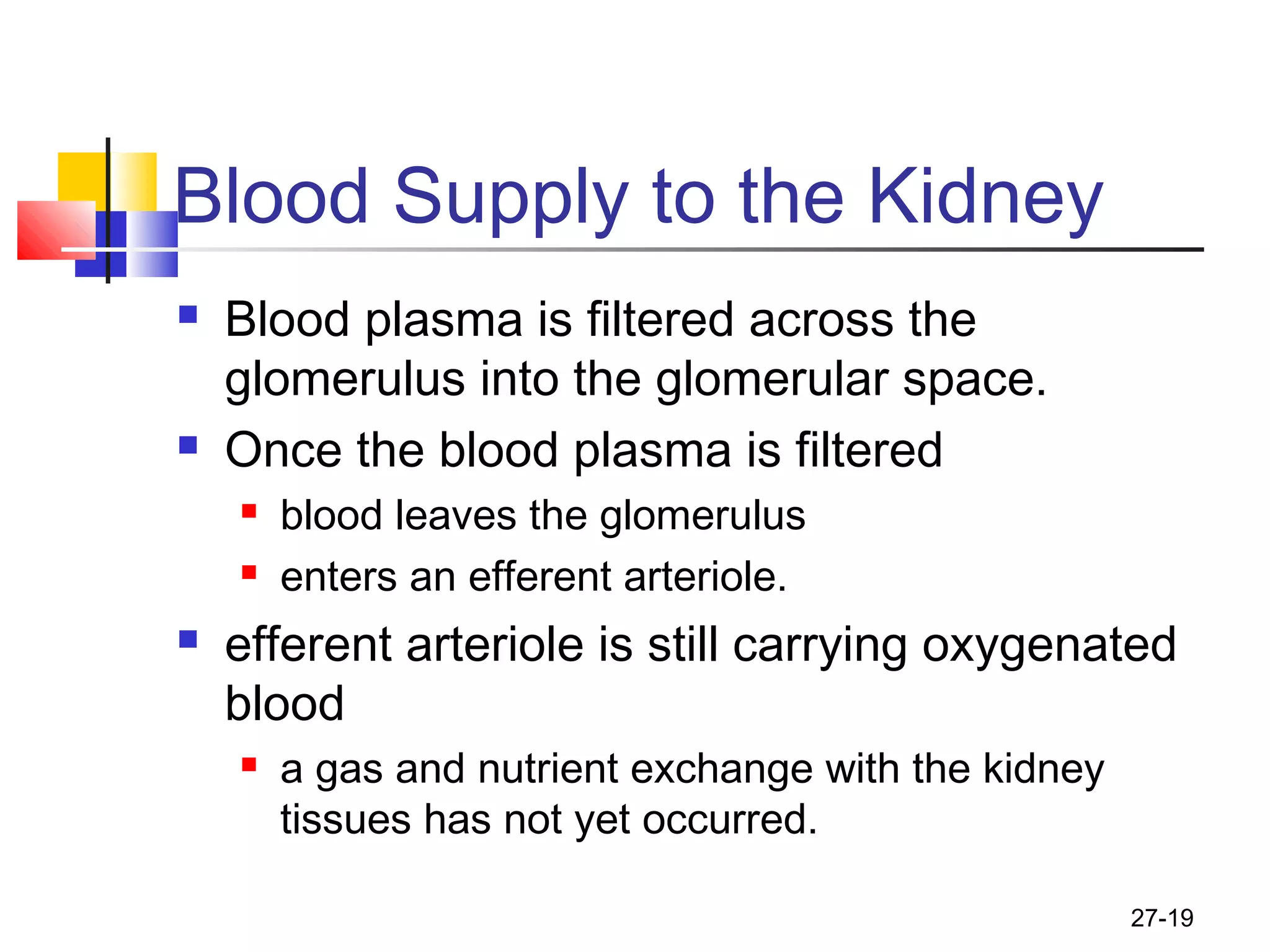 Urinary system ------(Physiology) | PPT