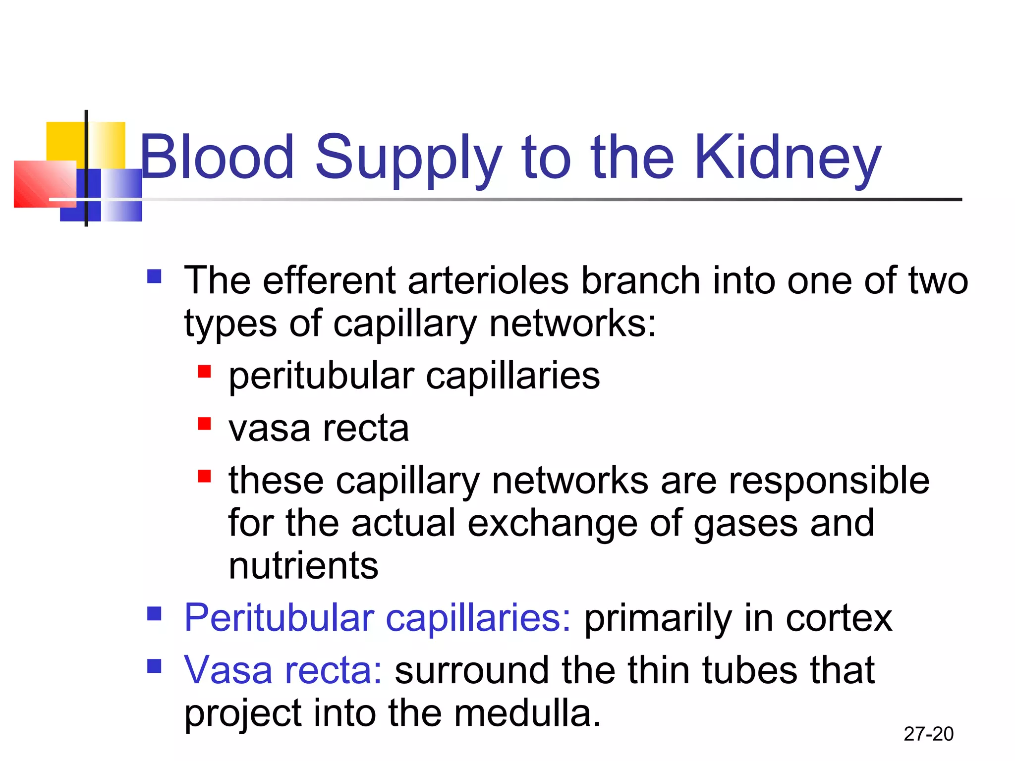 Urinary system ------(Physiology) | PPT