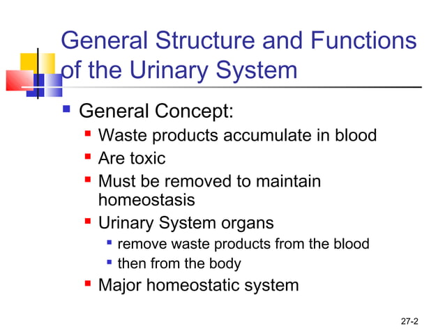 Urinary system ------(Physiology) | PPT