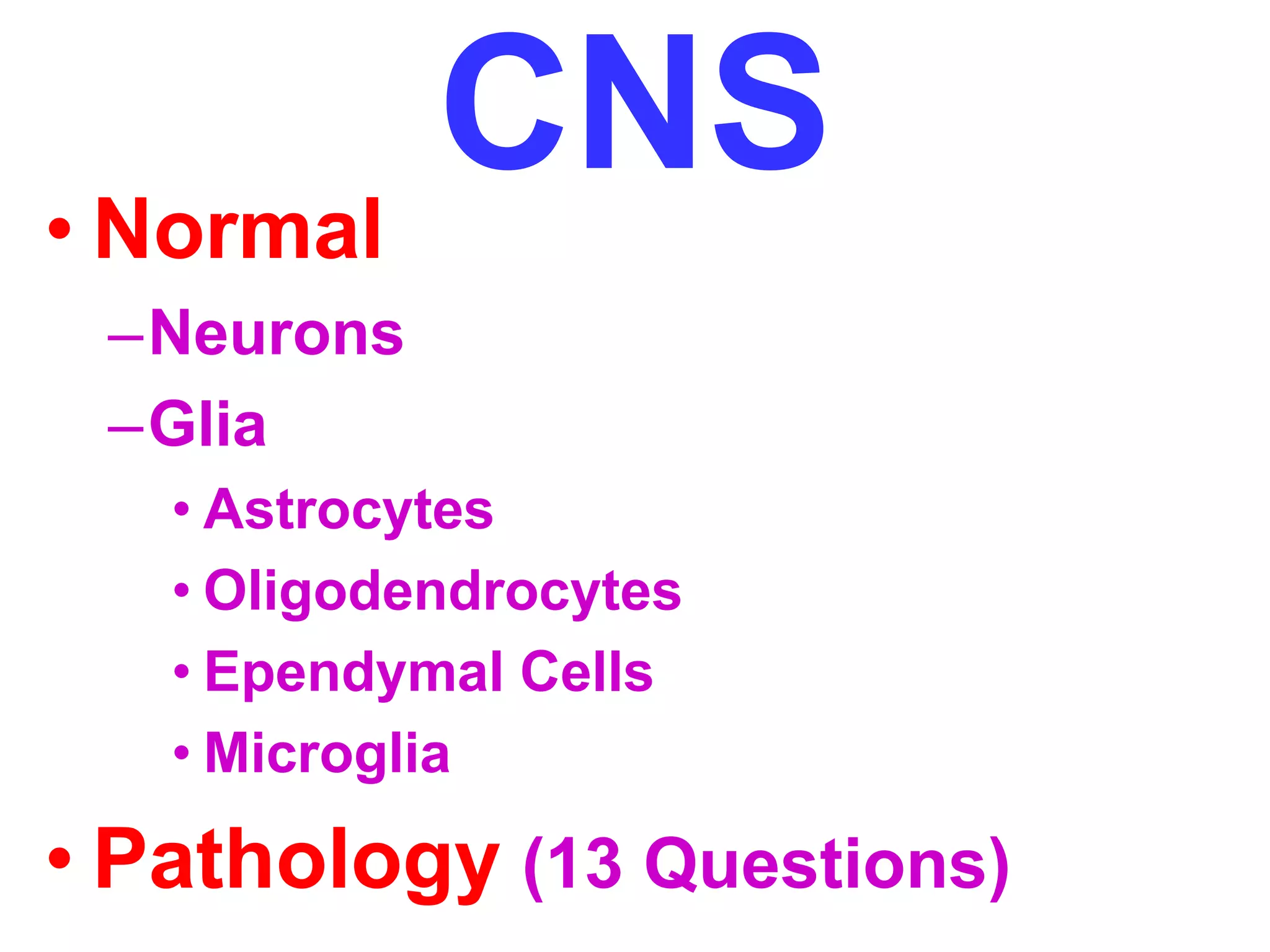 Ch28-CNS.ppt
