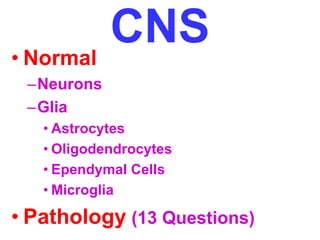 Ch28-CNS.ppt