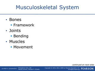 Ch28 muscleskel | PPT