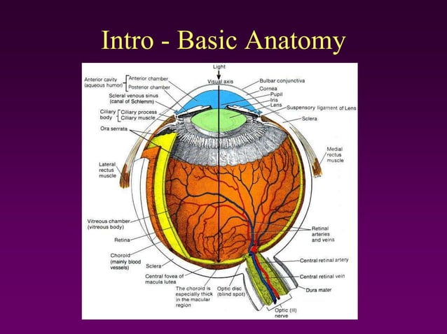 Ch29-Eye pathology of eye..Chapter 19 .ppt