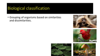 Ch 2 biological classification | PPTX