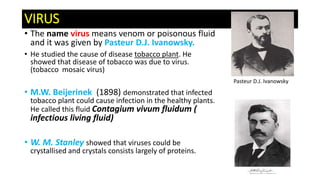 Ch 2 biological classification | PPTX