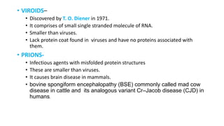 Ch 2 biological classification | PPTX