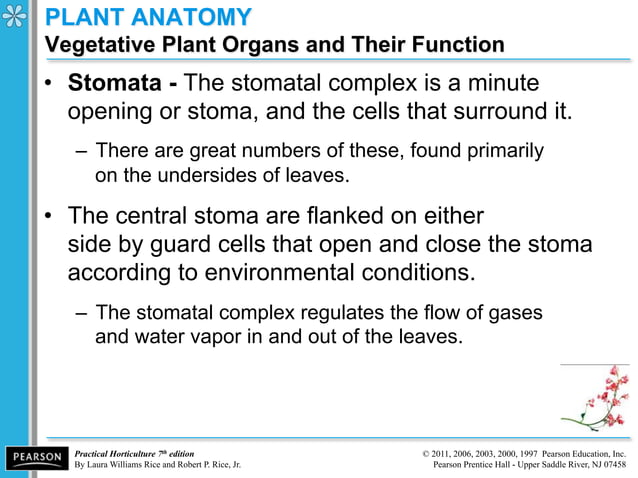 Ch 2 bot nomenclature anatomy phys | PPT