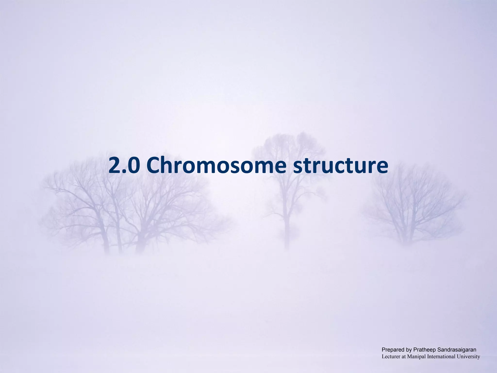 Ch2 chromosome structure | PPT
