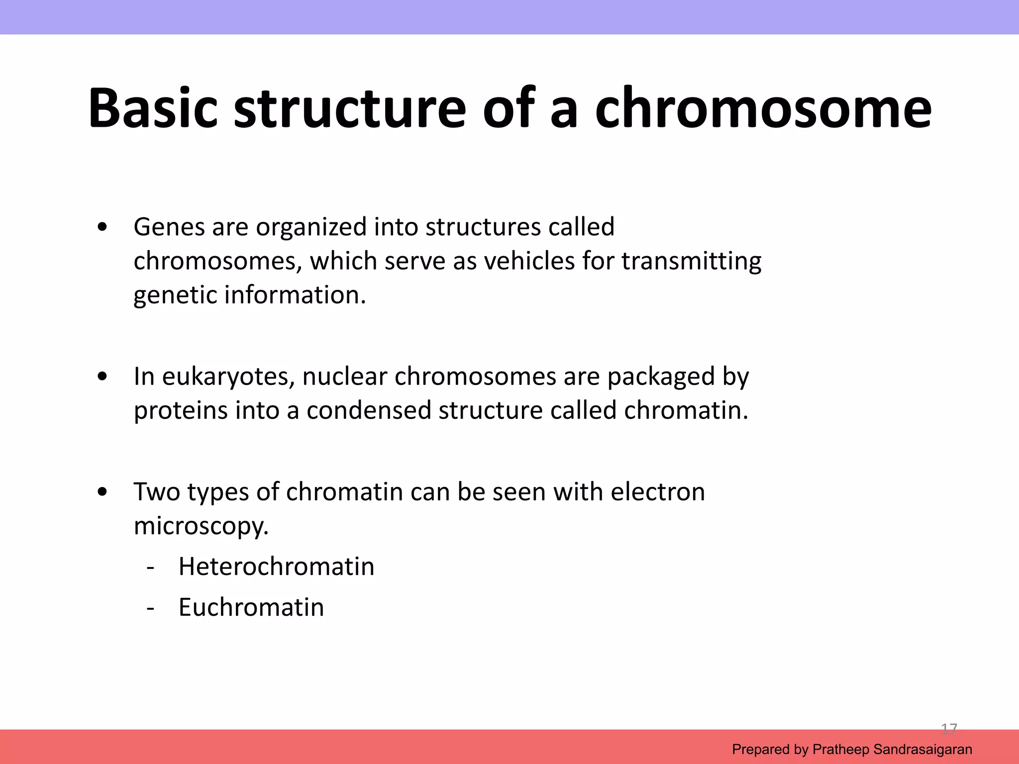 Chromosome structure_.ppt