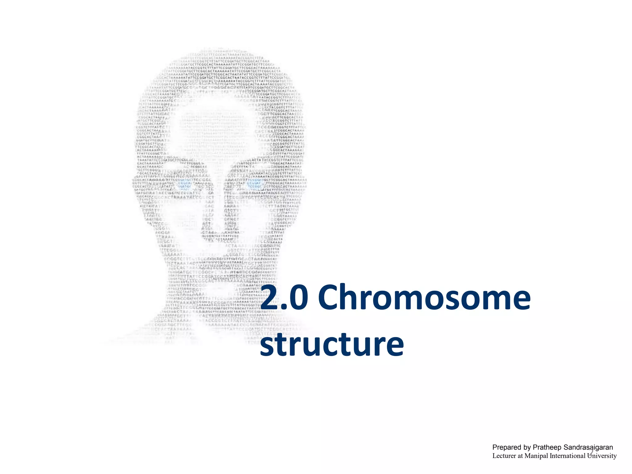 Chromosome structure_.ppt