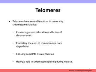 Chromosome structure_.ppt