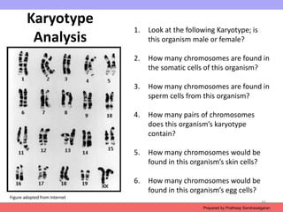 Chromosome structure_.ppt