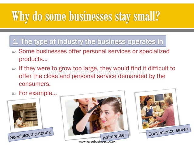 Ch 2 classification_of_business_presentation | PDF | Economy | Business ...