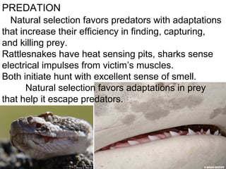 Ch2 c principles of ecology | PPT