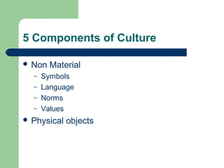 Ch2 culture | PPT