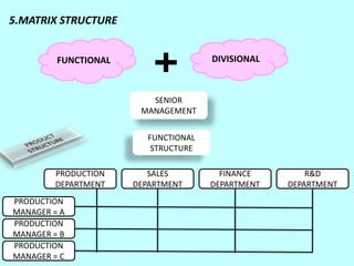 organisational structure | PPTX