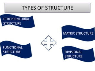 organisational structure | PPTX