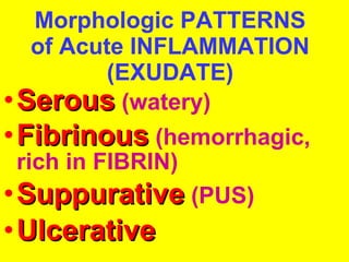 Inflammation acute and chronic | PPT
